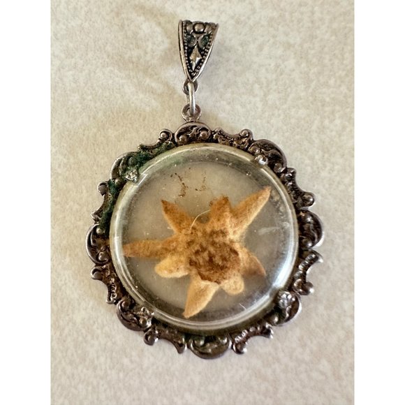 Jewelry | Antique Sterling Silver Framed Glass Real Dried Edelweiss ...